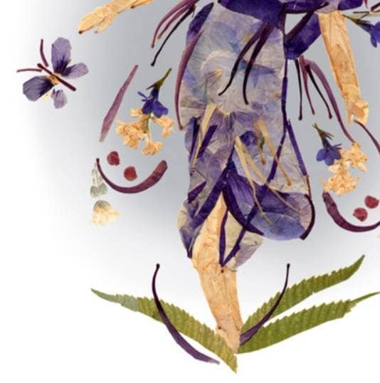 Flower Fairy Picture REAL Pressed Flower Fairies Wings Faery Tale ...