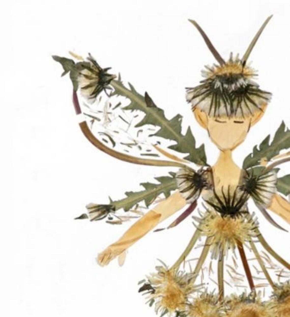 Fairy Flower dandelion Faery Pressed Flowers 8x10 PRINT Magical Fantasy ...