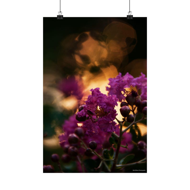 Purple Crape Myrtle Bloom Poster Vertical Matte - Etsy