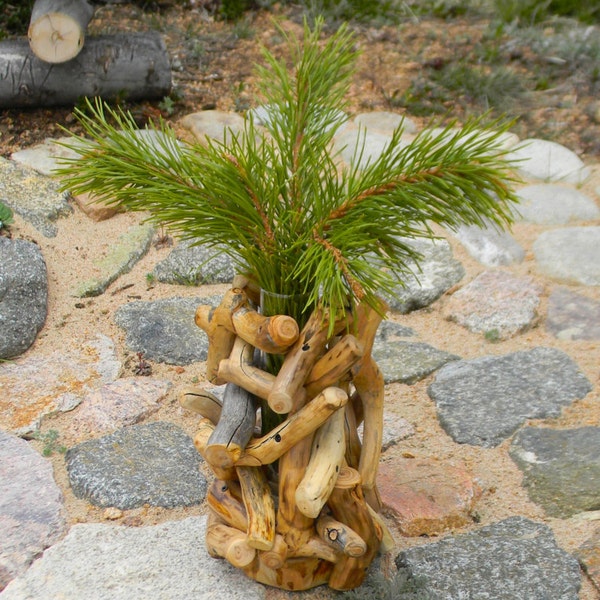 Log Vase - Etsy