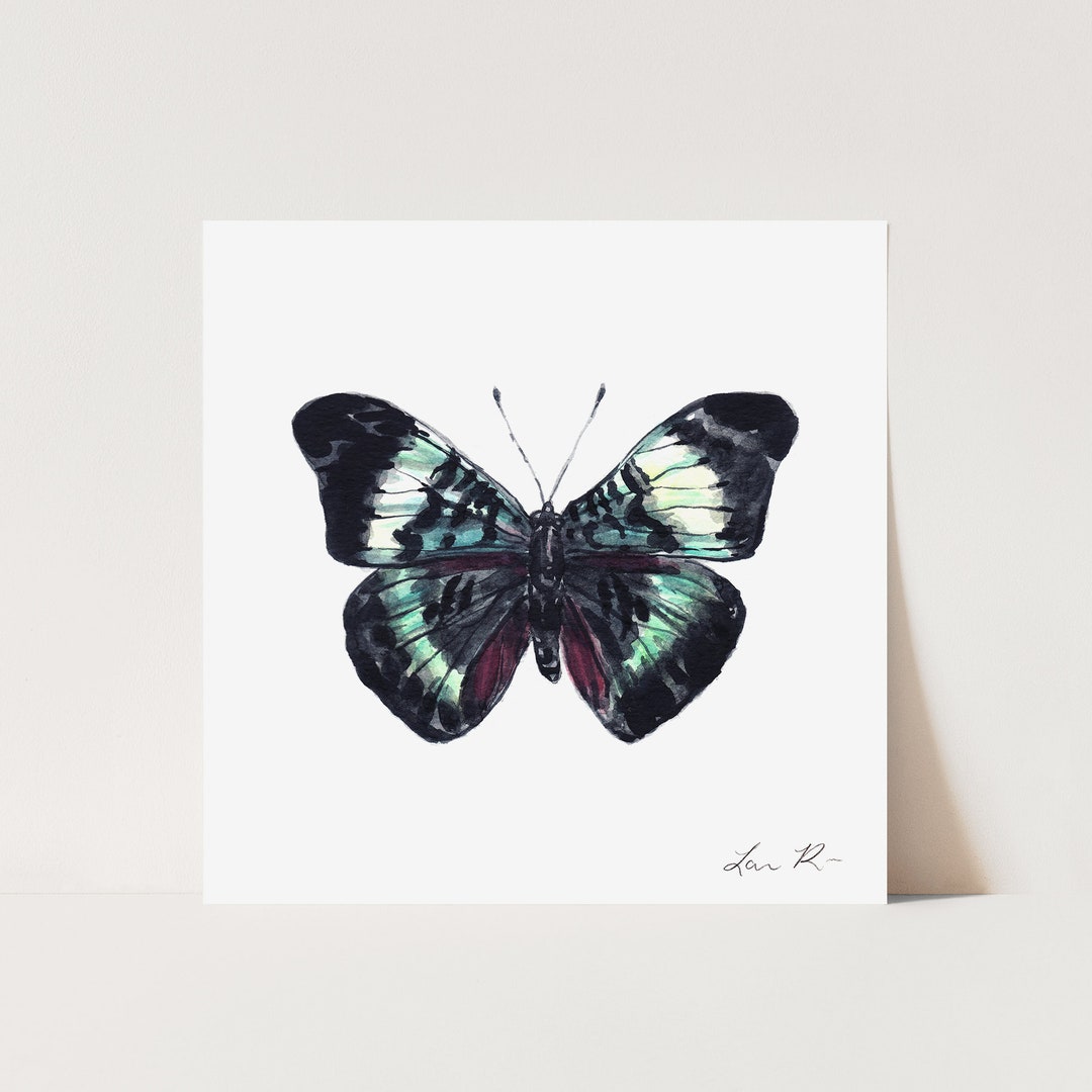 Art Print Butterfly Prola Beauty - Butterfly Art, Butterfly Print ...