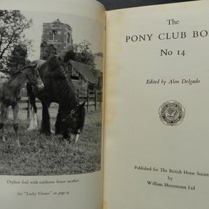 Vintage Illustrated Horse Book - "the Pony Club Book" No 14 1963 ...