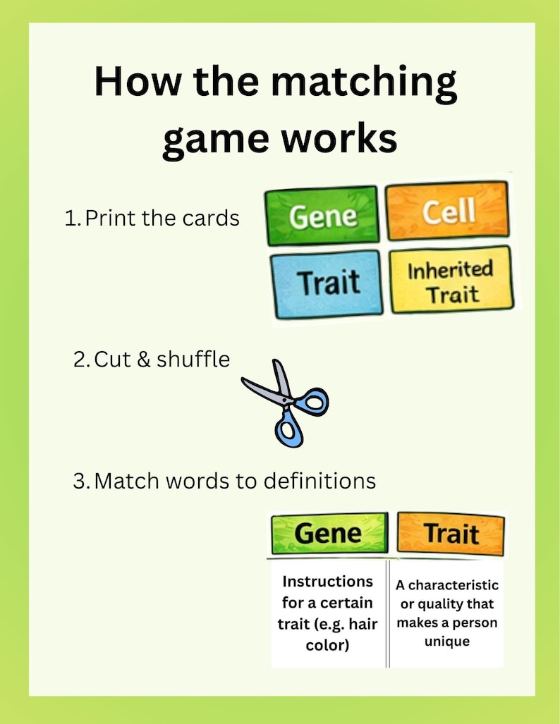 Genetics Vocabulary Matching Game | Genes & Traits | Grades 2–3 - Etsy