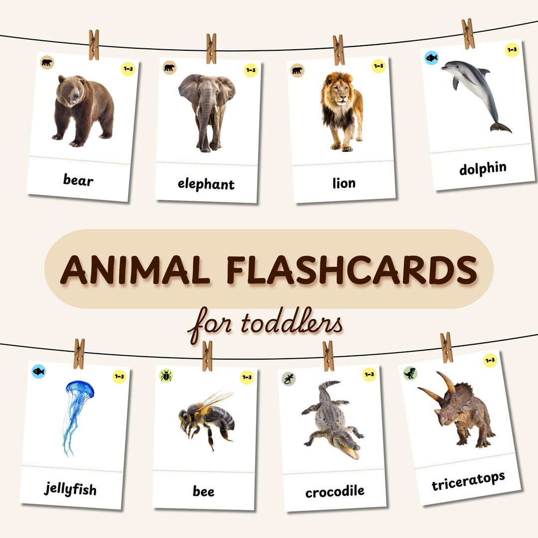 Animal Flashcards – Montessori Cards & Toddler Flashcards | Montessori ...