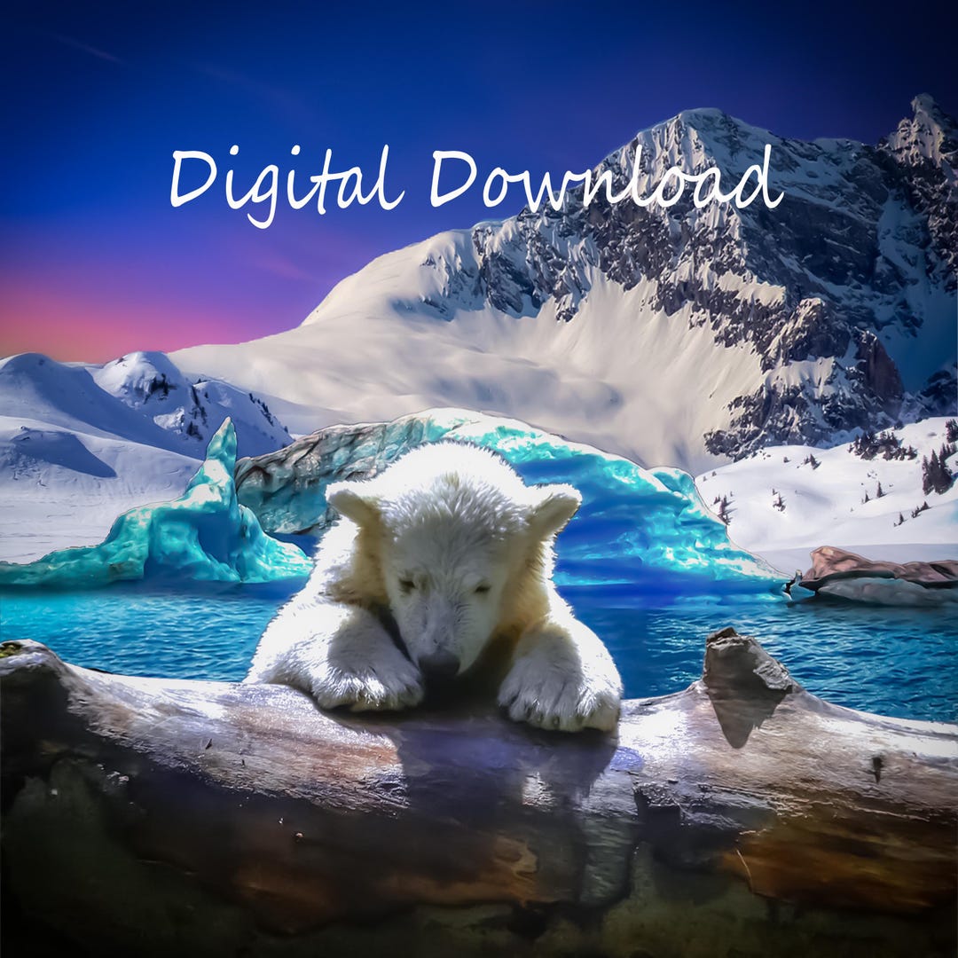 Hush | Polar Bear Cub | Arctic Wildlife | Peaceful Animal Illustration ...