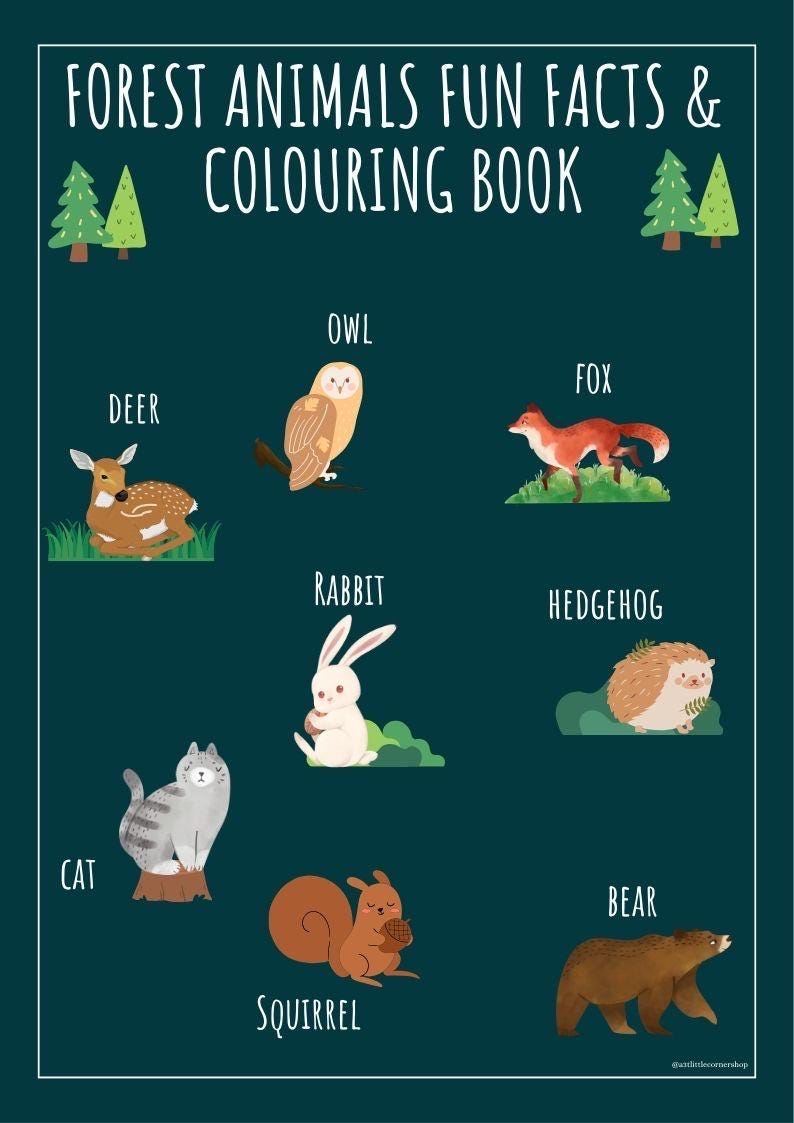 Forest Animals Fun Facts & Colouring Book - Etsy
