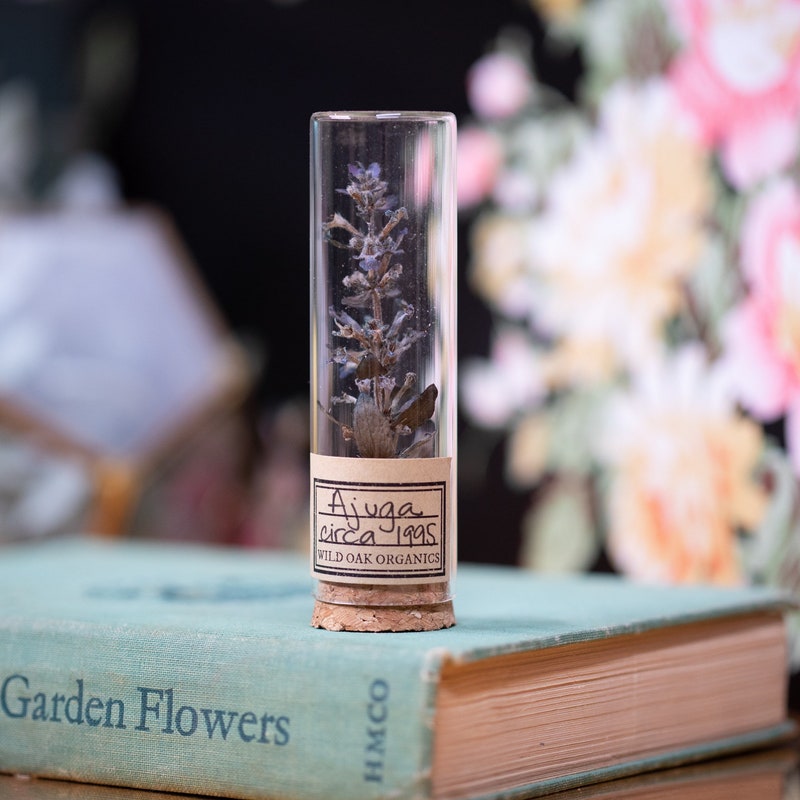 Flower Vial - Etsy