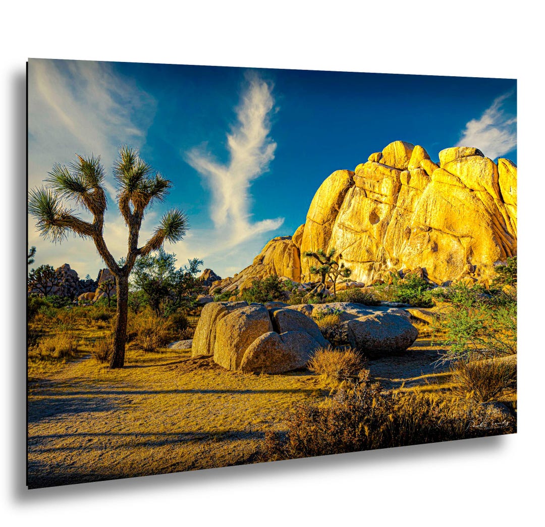 Joshua Tree Photo Golden Hour Rock Formation Desert Landscape ...