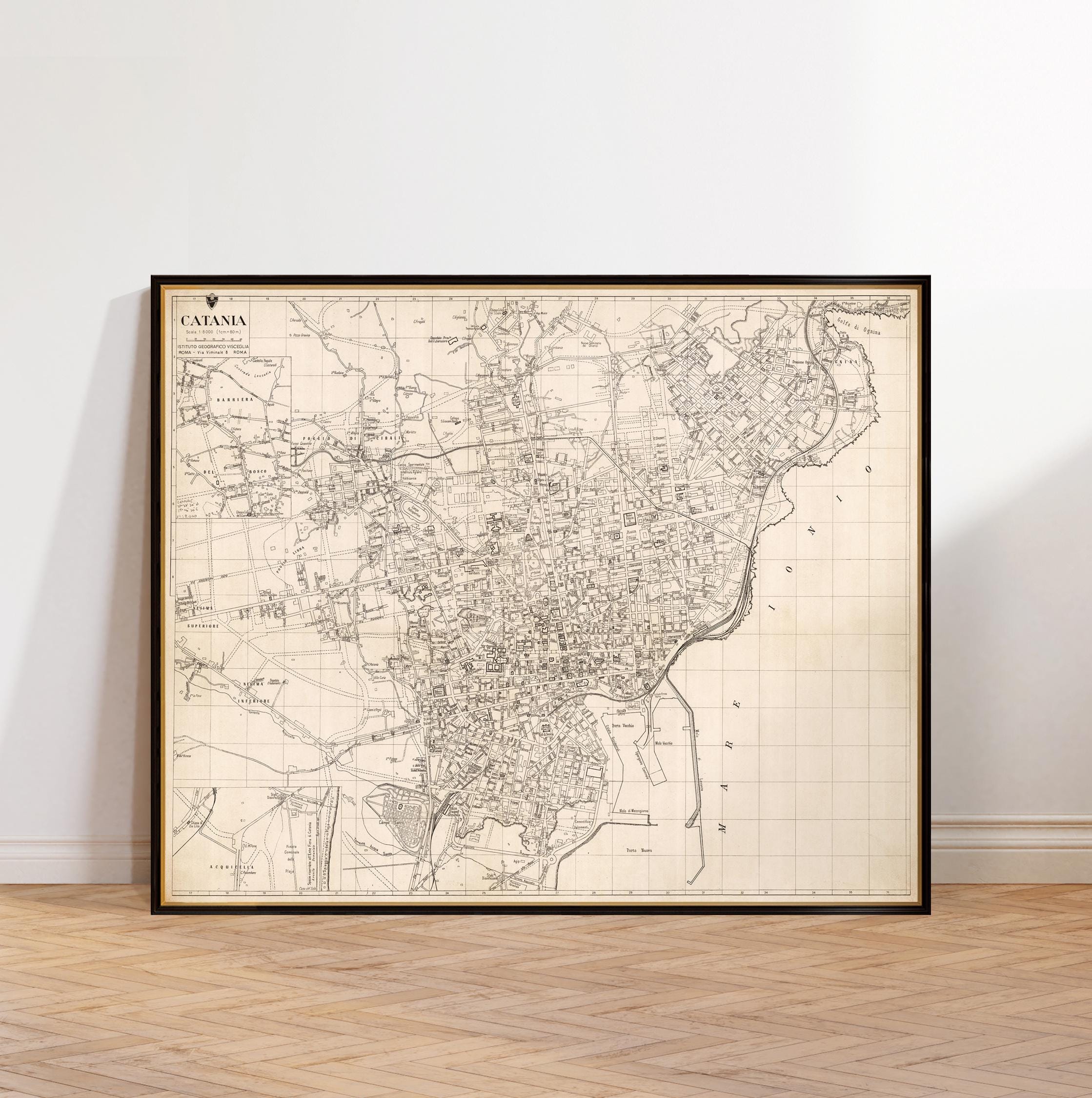 Kathy Catania Map
