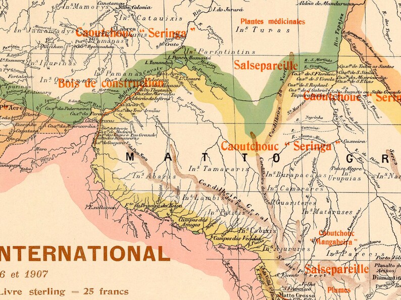 Decorative Map of Brazil Detailed Old Map Restored Map Fine - Etsy