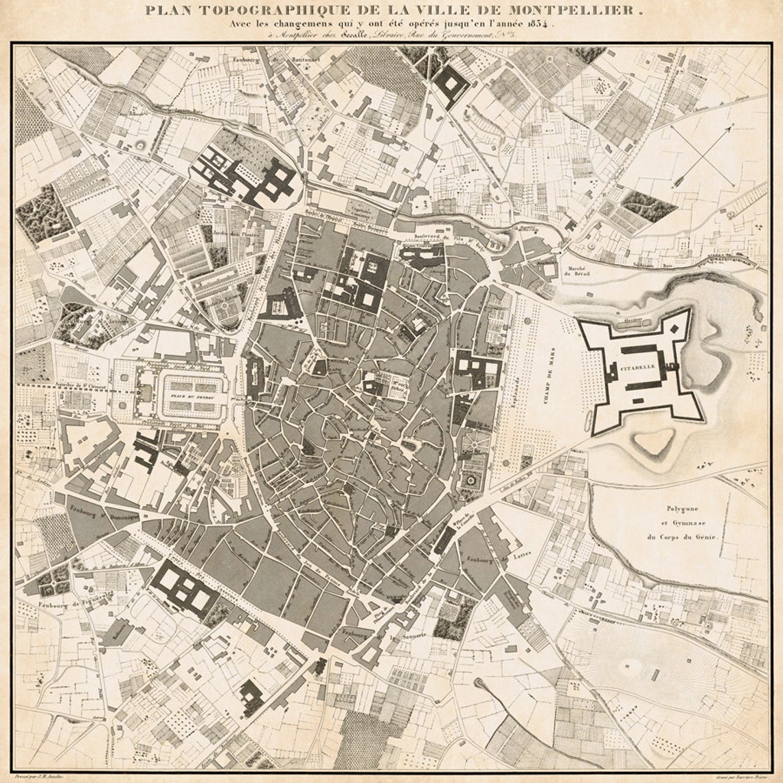 Montpellier Map Old City Map Vieille Carte De Montpellier | Etsy