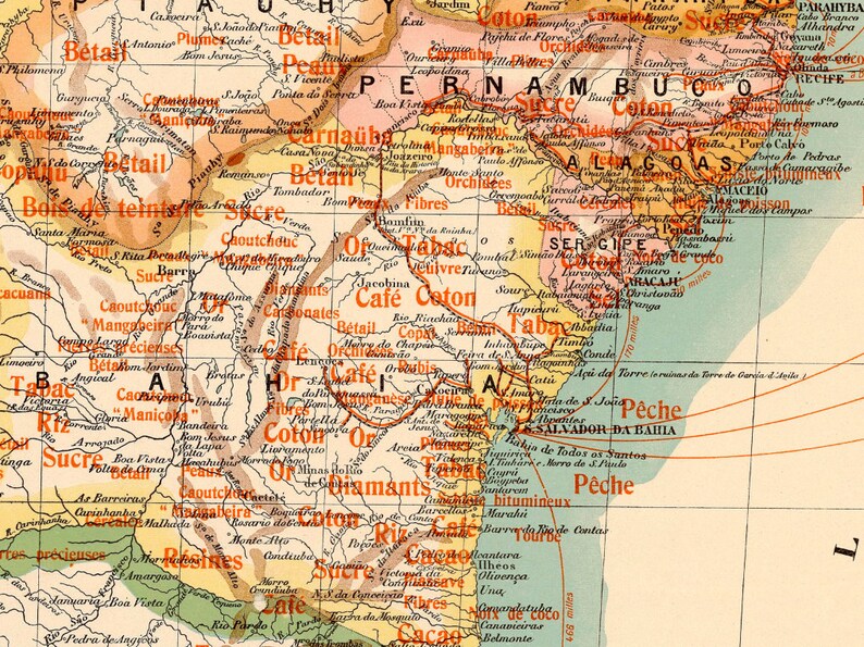 Decorative Map of Brazil Detailed Old Map Restored Map Fine - Etsy