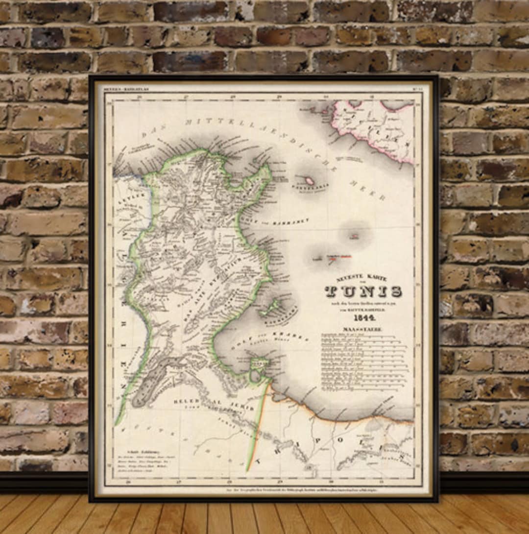 Map of Tunis - Vintage Map Print - Old Map of Tunis Fine Reproduction ...