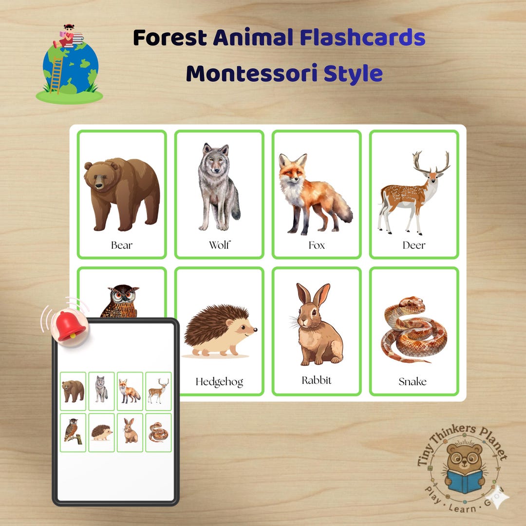 Forest Animal Flashcards | Montessori Homeschool Printable (PDF) - Etsy