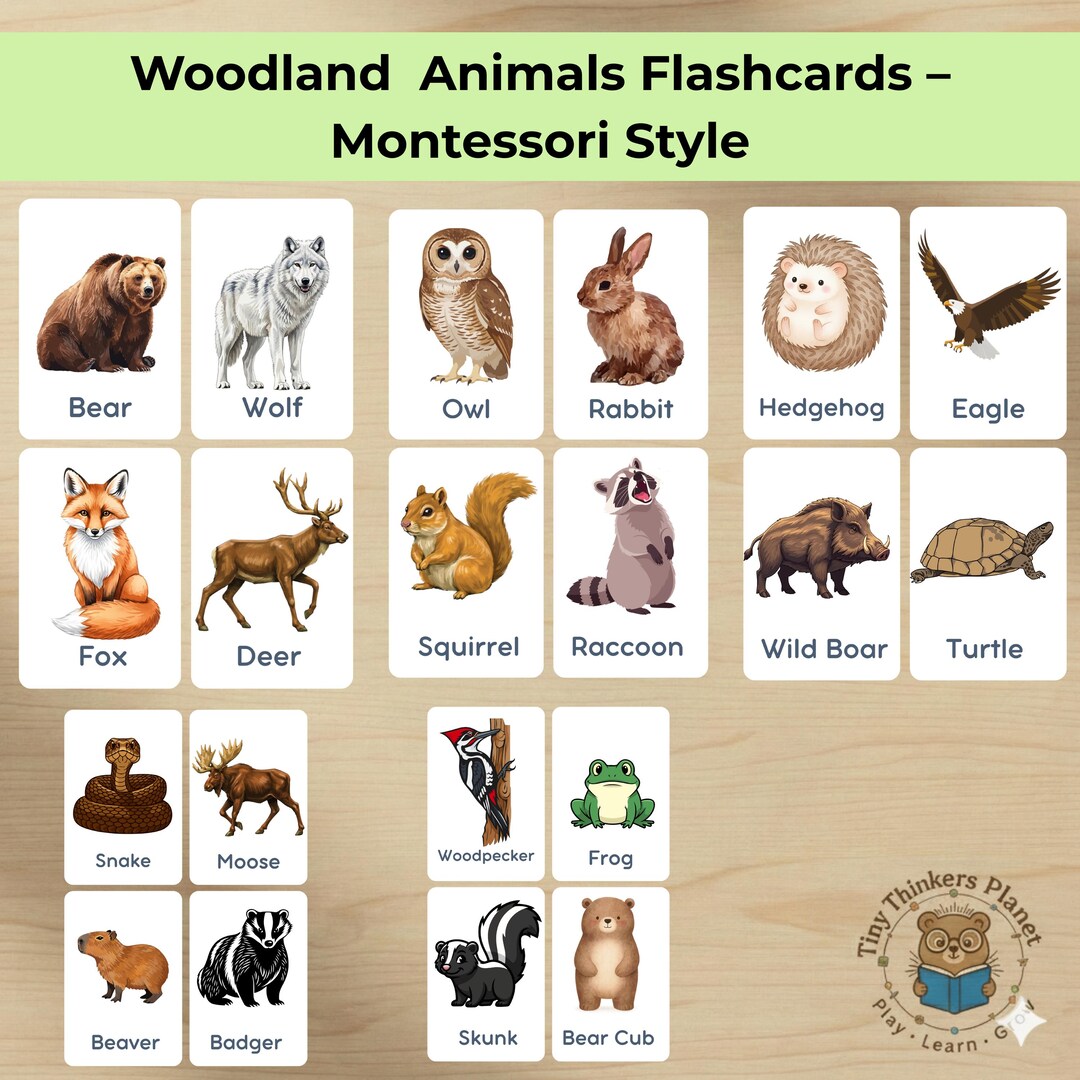 Woodland Animal Flashcards Printable | 20 Woodland Animals | Montessori ...