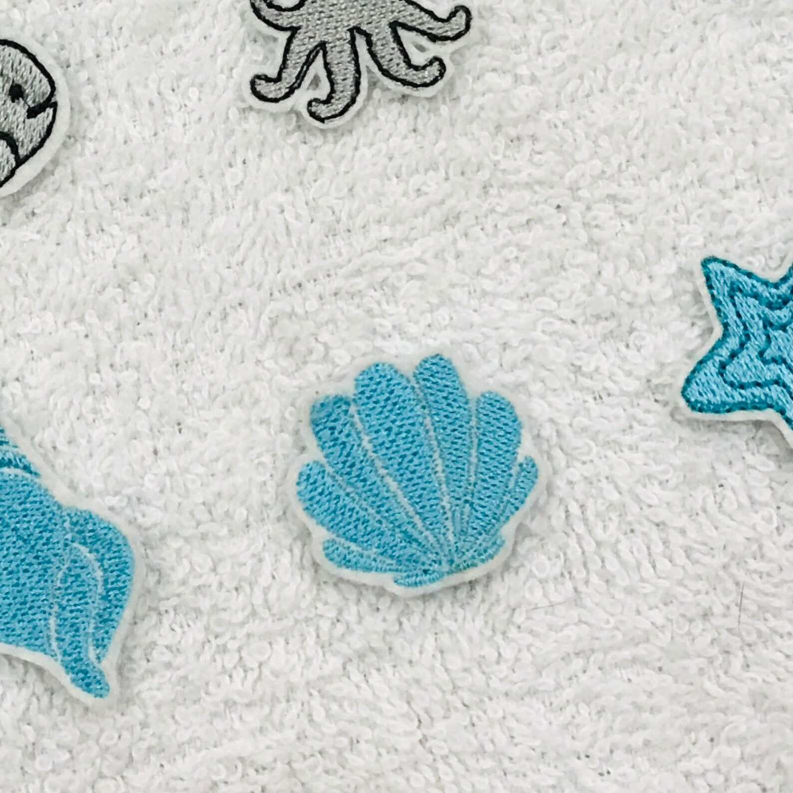 Mini Shell Embroidery Design Clam Shells Machine Embroidery - Etsy