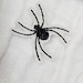 Mini Spider Embroidery Design, Small Spider Machine Embroidery Design ...
