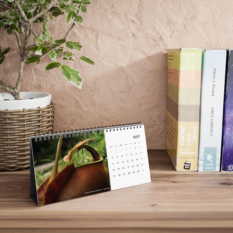 Nepenthes of Borneo 2026 Desk Calendar | Simplex Grid - Etsy