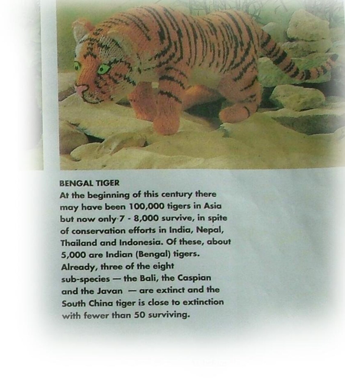 BENGAL TIGER Knitting Pattern by Georgina Manvell PDF Download - Etsy