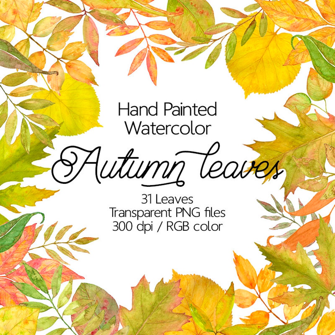 Watercolor Autumn Leaves - Watercolor Leaves Clip Art, Hand Painted ...