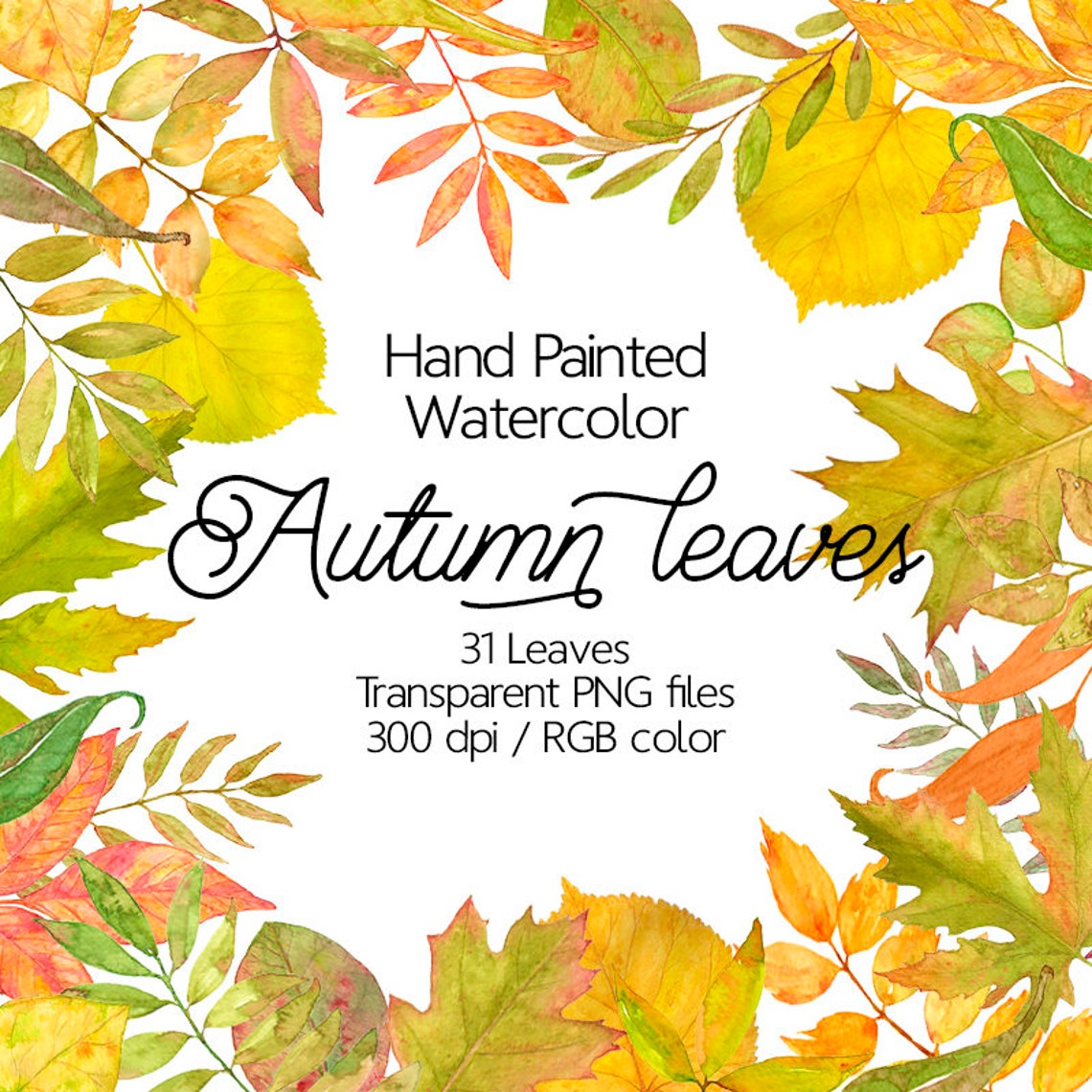 Watercolor Autumn Leaves Watercolor leaves clip art Hand | Etsy