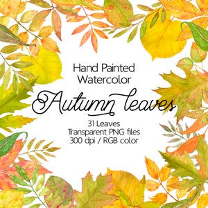 Watercolor Autumn Leaves - Watercolor Leaves Clip Art, Hand Painted ...