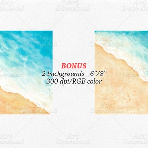 Watercolor Seashells Clip Art Hand Painted Nautical Clipart Starfish ...