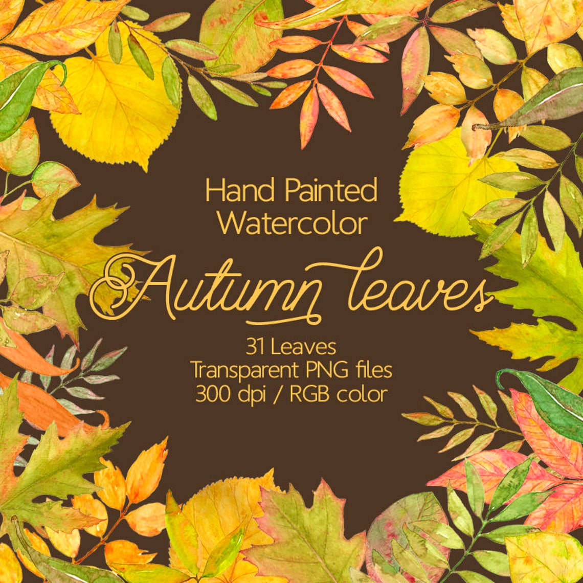 Watercolor Autumn Leaves Watercolor leaves clip art Hand | Etsy
