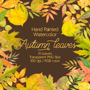 Watercolor Autumn Leaves - Watercolor Leaves Clip Art, Hand Painted ...