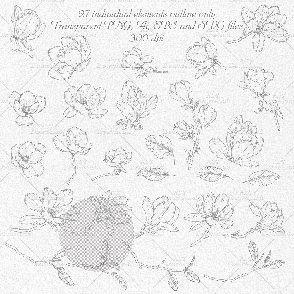 Magnolia Outline Graphic Flowers Line Art Flower Outline - Etsy