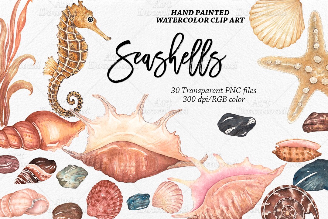Watercolor Seashells Clip Art Hand Painted Nautical Clipart Starfish ...