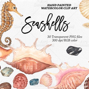 Watercolor Seashells Clip Art Hand Painted Nautical Clipart Starfish ...