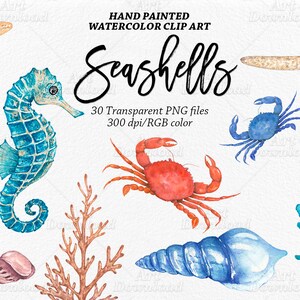 Watercolor Seashells Clip Art Hand Painted Nautical Clipart Starfish ...
