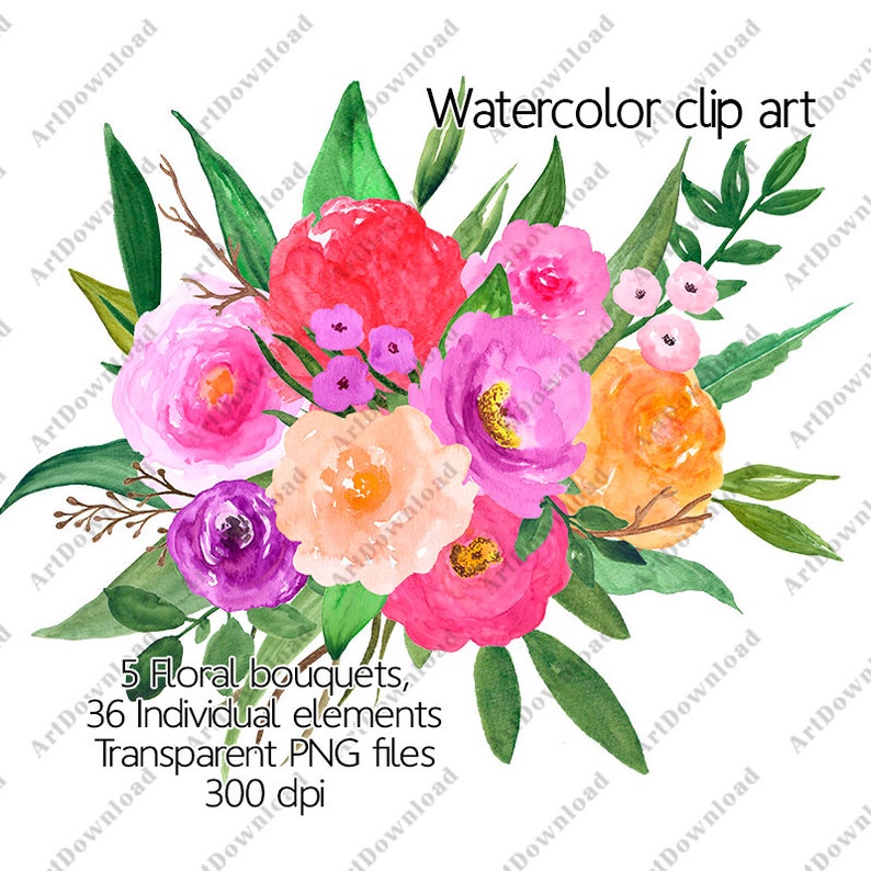 Flower Clipart - Watercolour Peonies and Roses, Watercolor Floral Clip ...