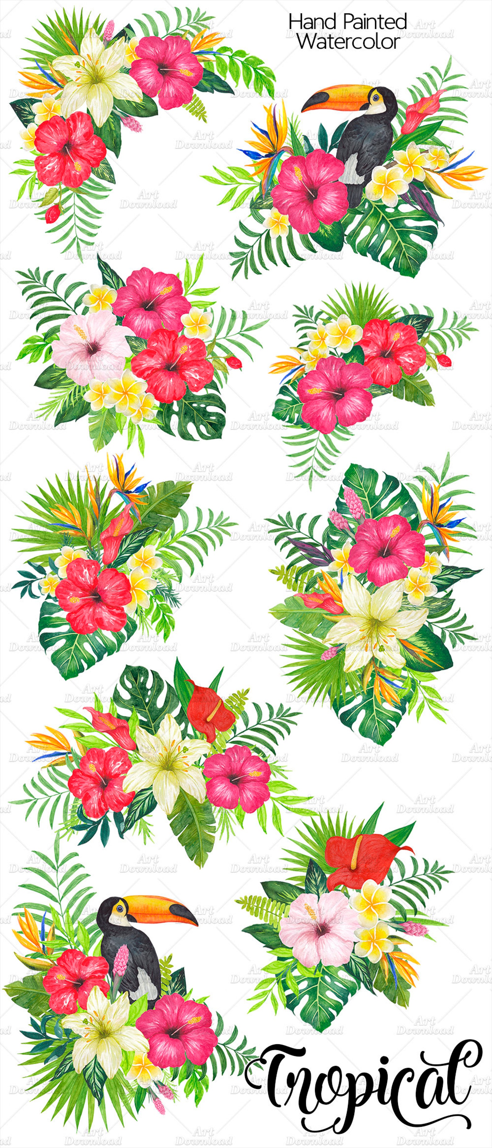 Watercolor Tropical Flowers Clipart, Watercolor Flower Clip Art ...