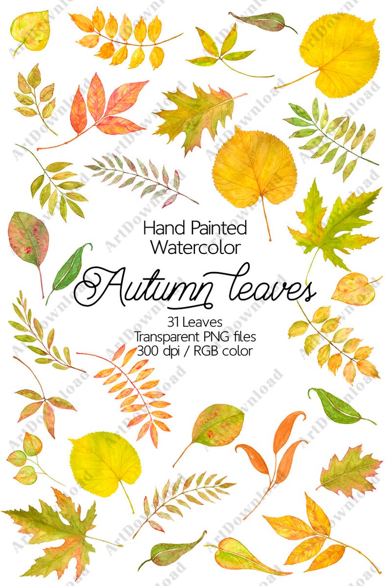 Watercolor Autumn Leaves Watercolor leaves clip art Hand | Etsy