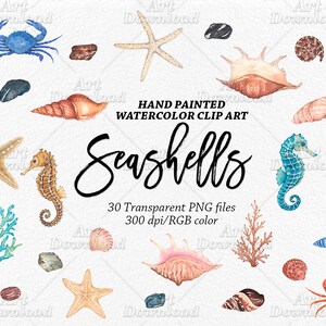 Watercolor Seashells Clip Art Hand Painted Nautical Clipart Starfish ...
