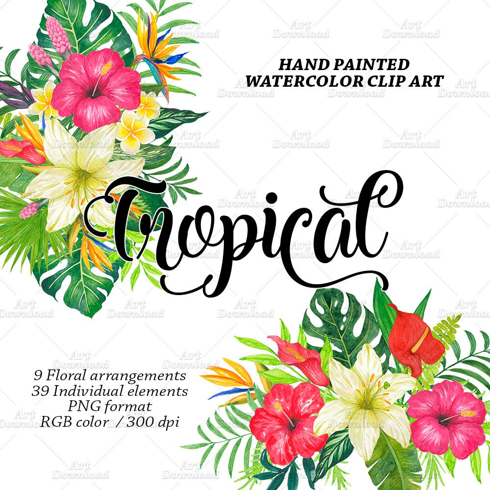 Watercolor Tropical Flowers Clipart Watercolor Flower Clip - Etsy