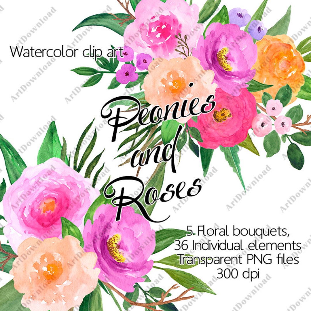 Flower Clipart - Watercolour Peonies and Roses, Watercolor Floral Clip ...