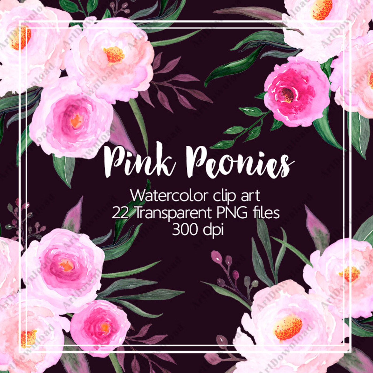 Pink Peonies Watercolor Flower Clipart Watercolor posies | Etsy