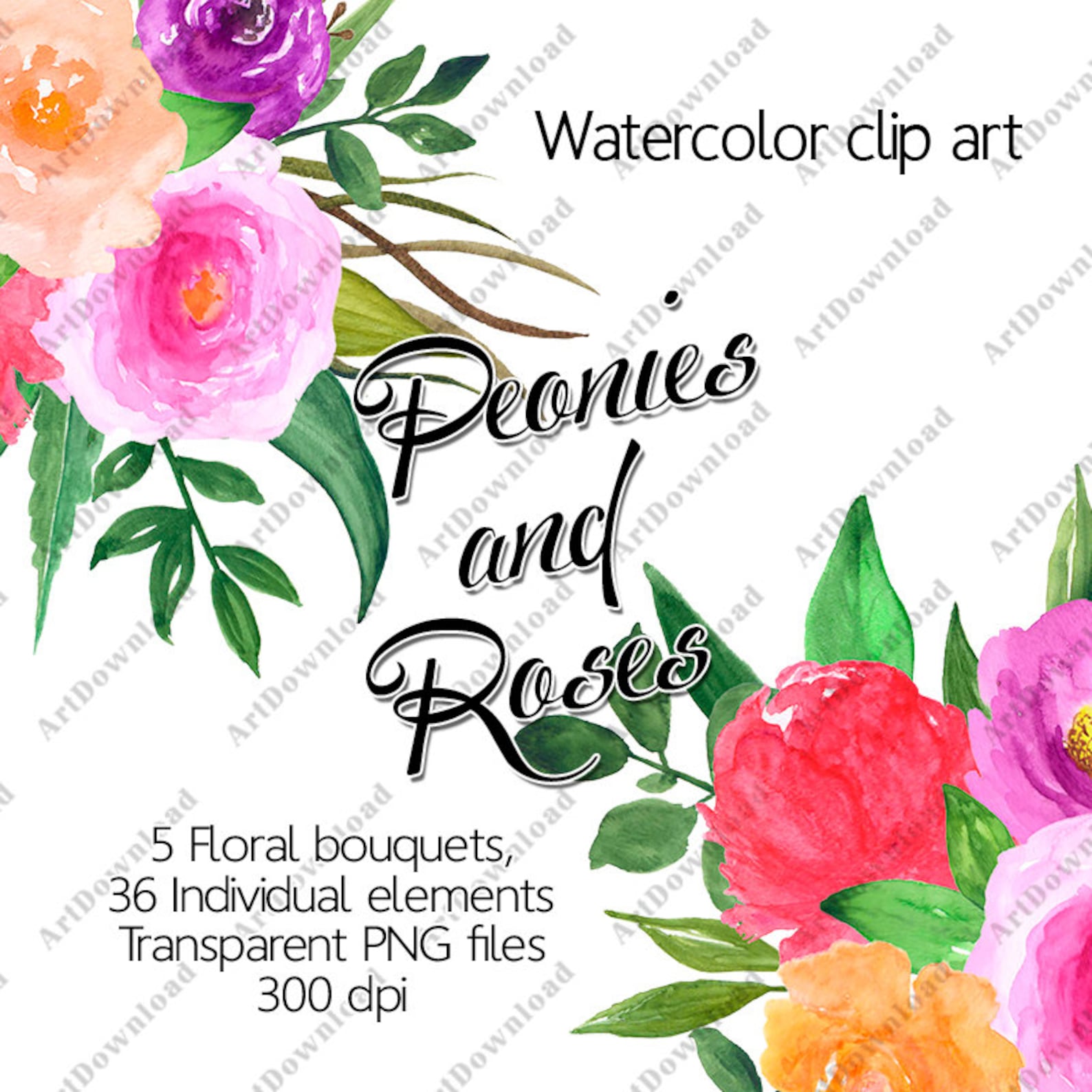 Flower Clipart Watercolour Peonies and Roses Watercolor - Etsy