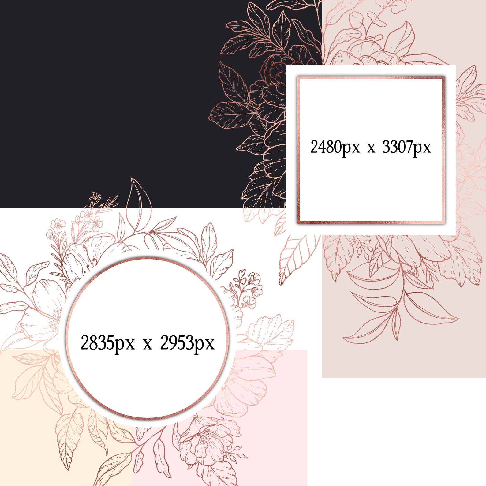 Rose Gold Floral Frames, Flower Outline, Hand Drawn Flowers, PNG Frames ...