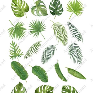 Tropical Leaves - Watercolor Leaves Clip Art, Monstera Leaves, Banana ...