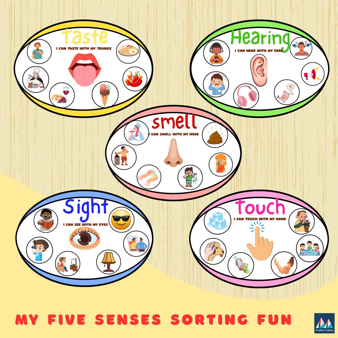 My Five Senses Sorting Fun Activity Digital File - Etsy