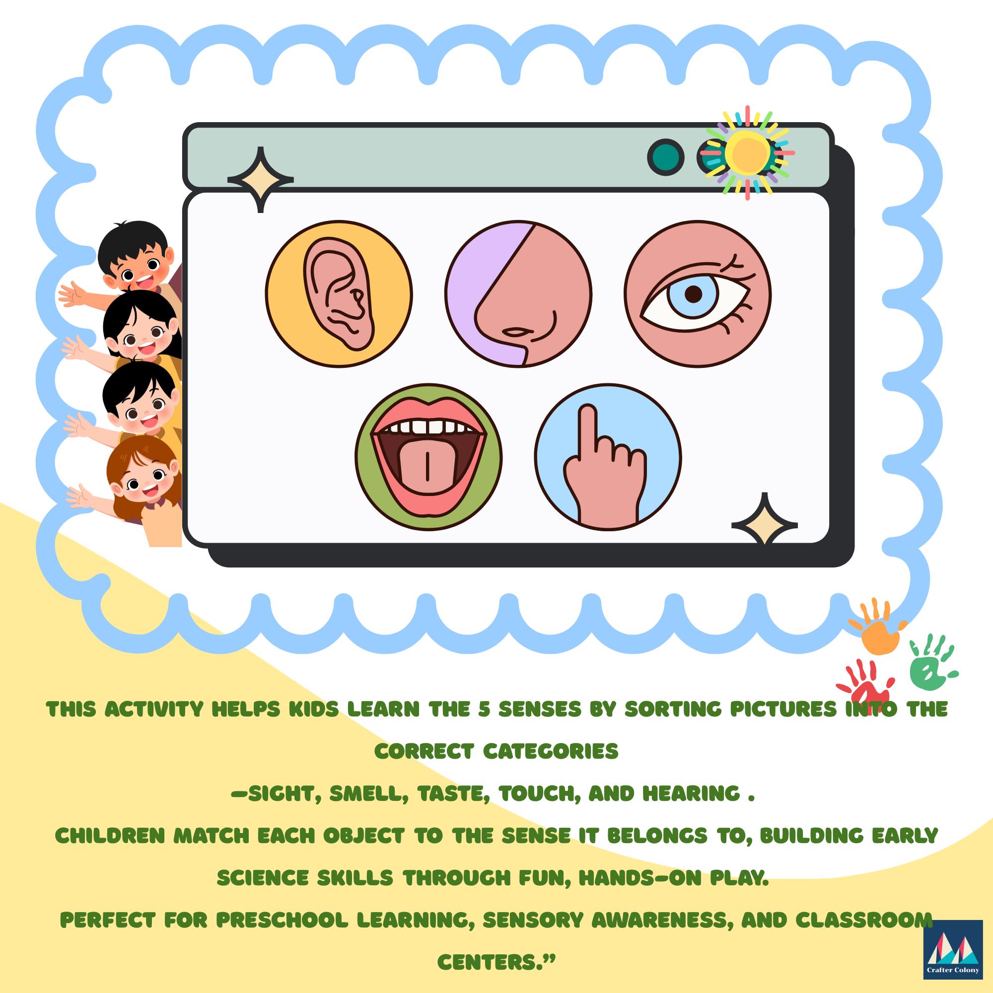 My Five Senses Sorting Fun Activity Digital File - Etsy