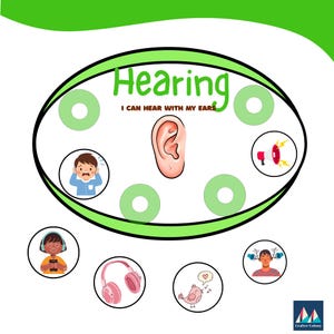 My Five Senses Sorting Fun Activity Digital File - Etsy