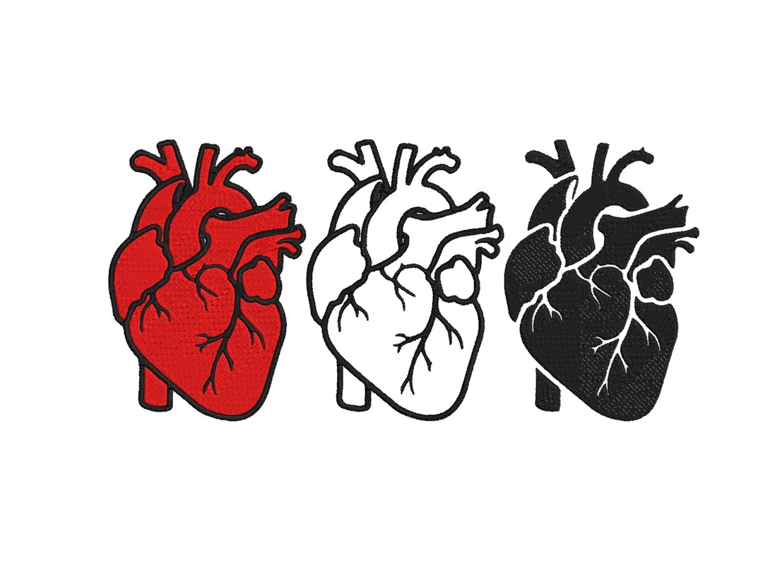 Anatomical Heart Embroidery, Heart Outline Embroidery, Human Heart ...