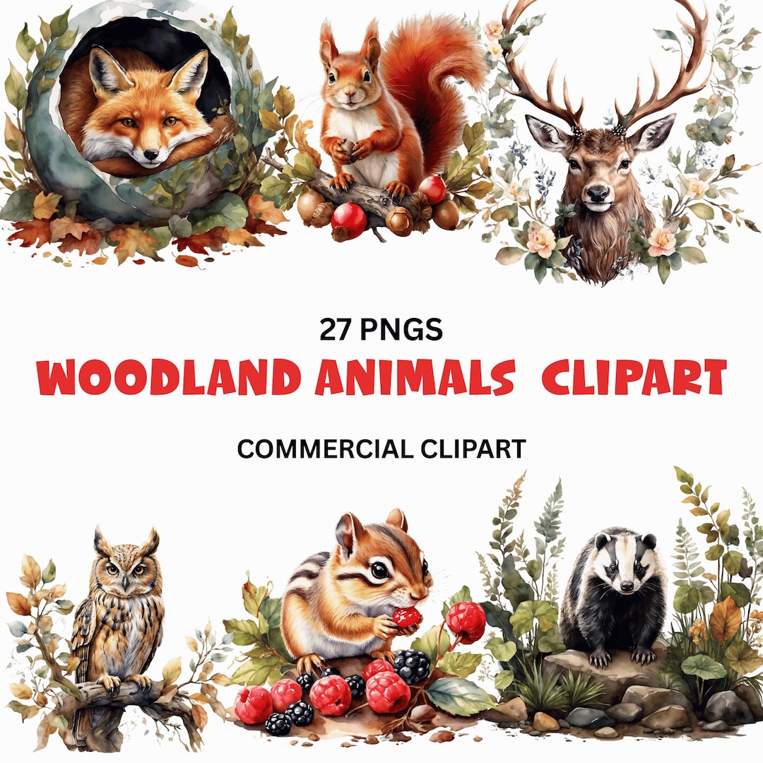 Woodland Animals Clipart Bundle, Forest Animal PNG, Cute Bear Fox Deer ...
