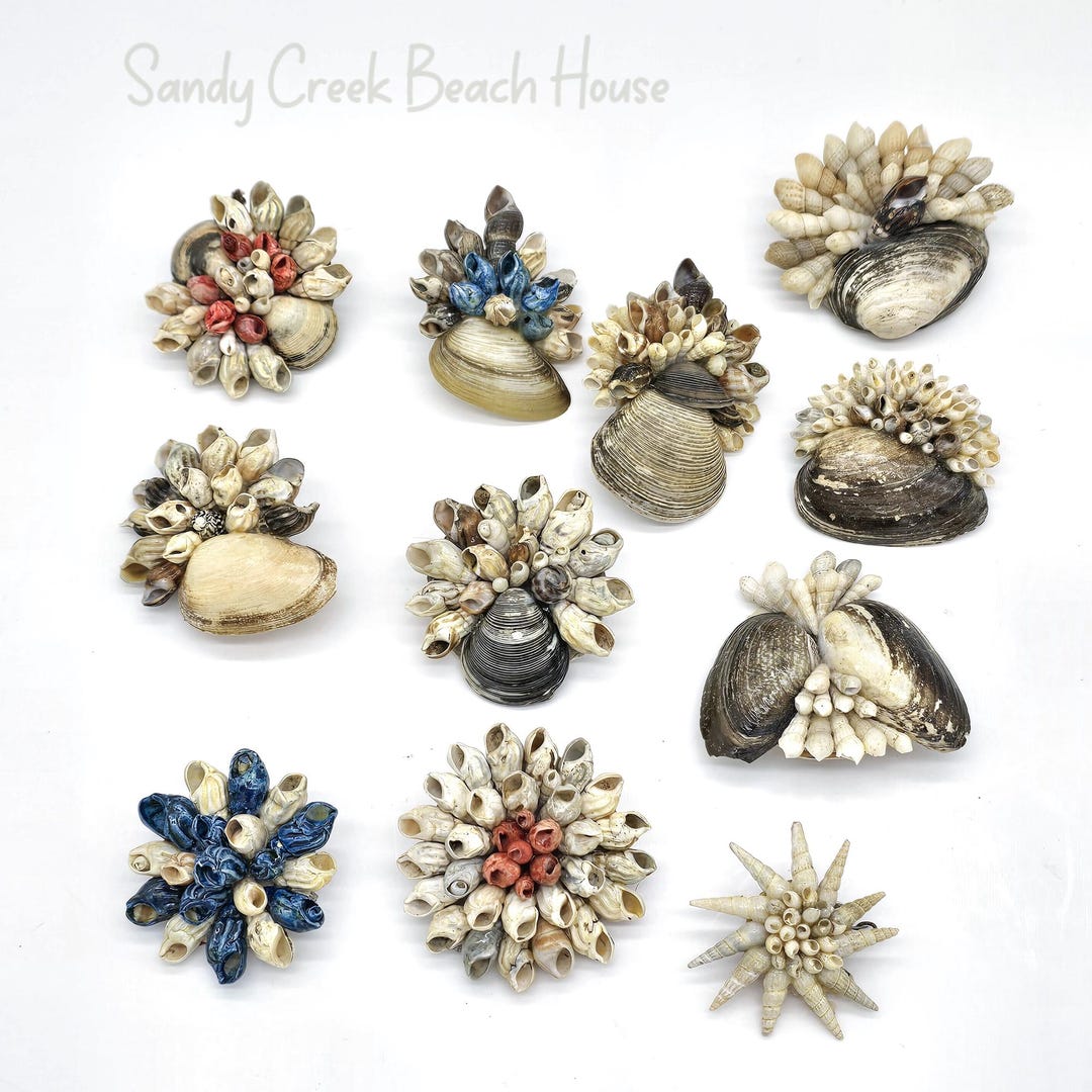 Vintage Handmade Natural Seashell Brooch Pins | Coastal Shell Jewelry ...