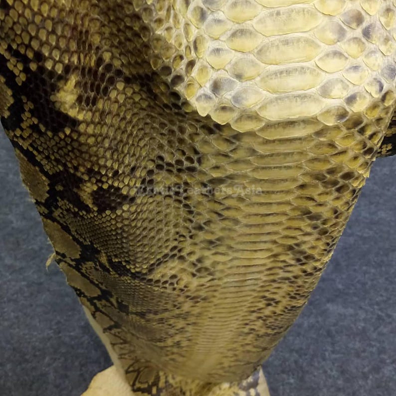 Genuine Reticulated Python Leather Skin | Natural Cream Yellow ...